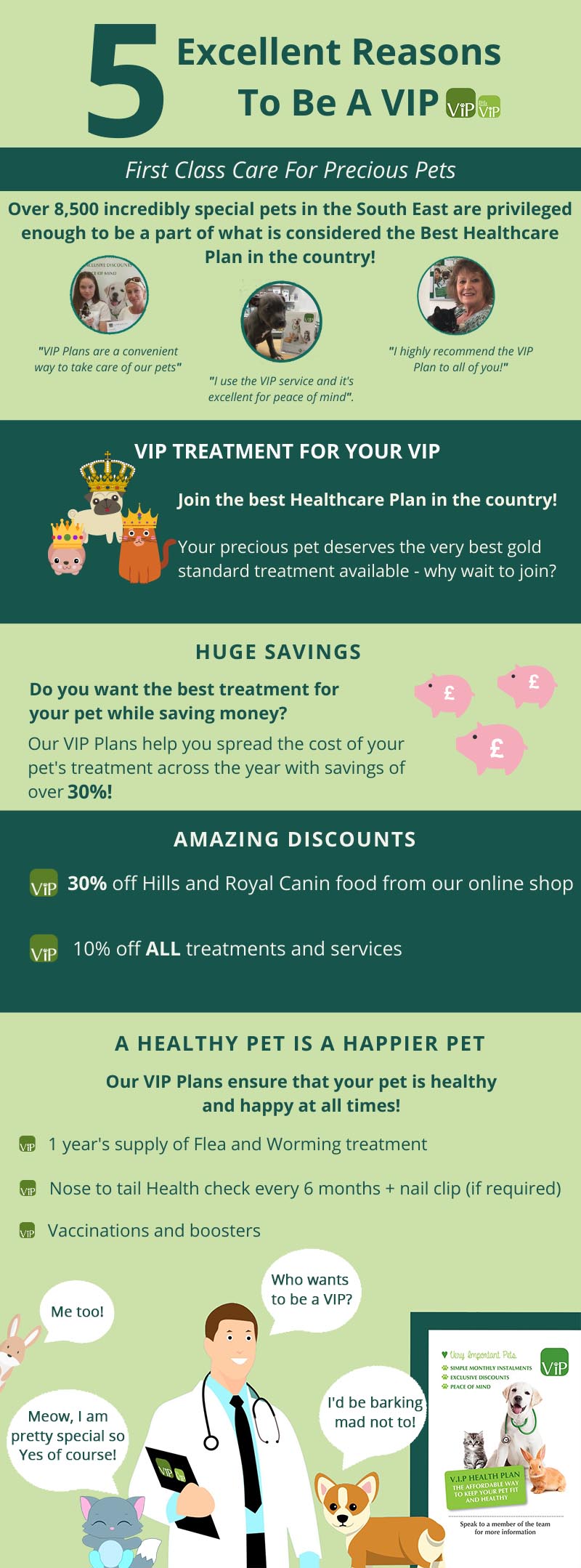 VIP Bunny Veterinary Health Plans | The Vet Station