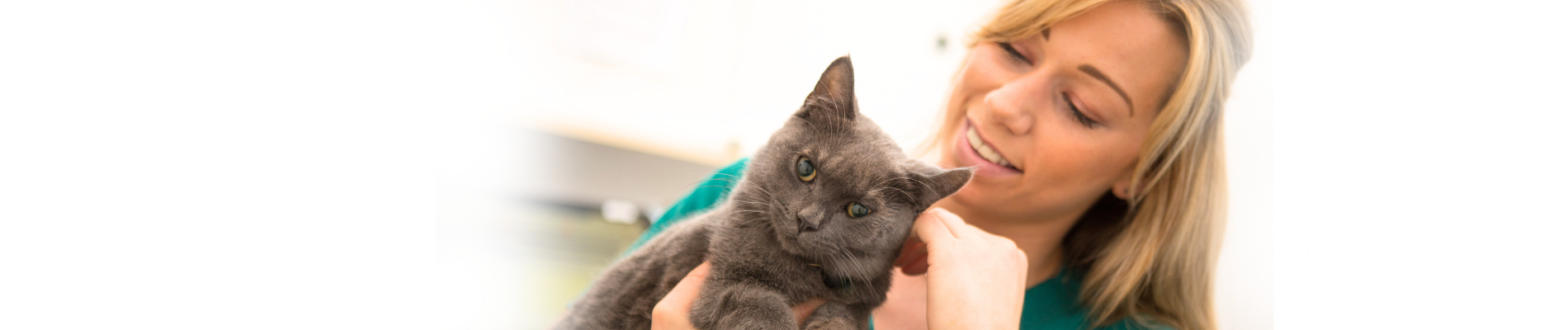 Exclusive VIP Health Care Plan Offer | The Vet Station